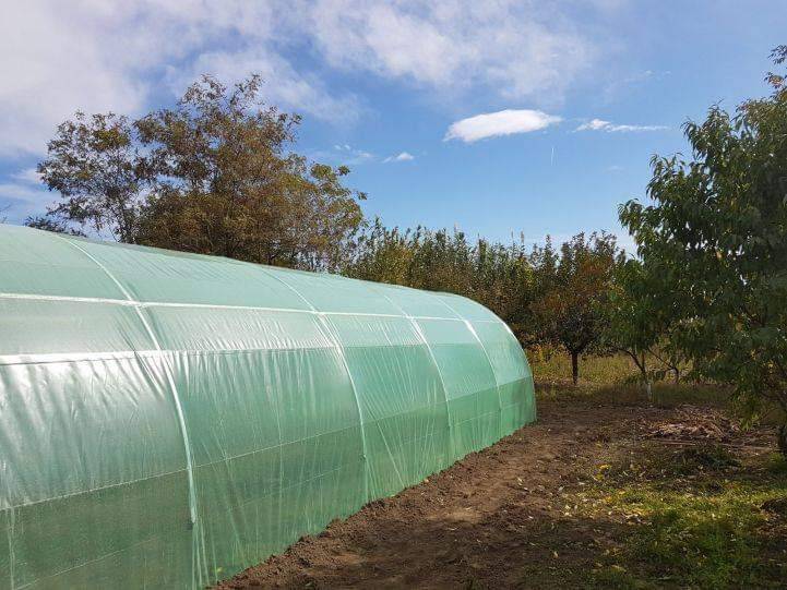 Solarii de gradina pentru legume si flori. Sera